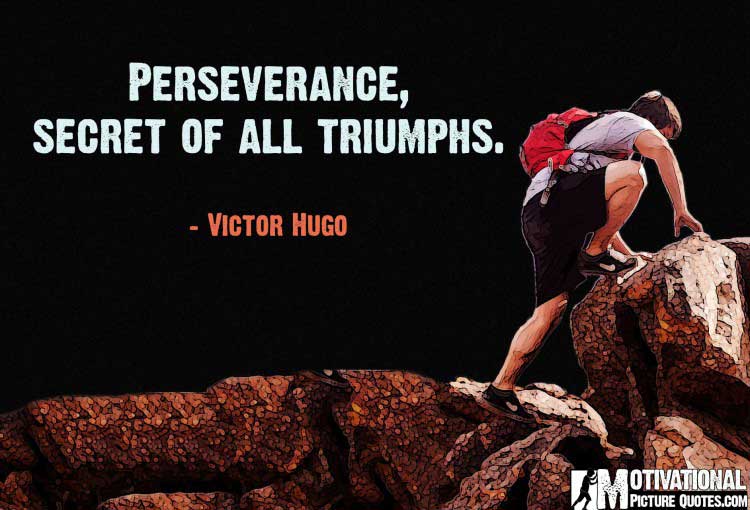12+ Inspirational Perseverance Quotes Images | Insbright