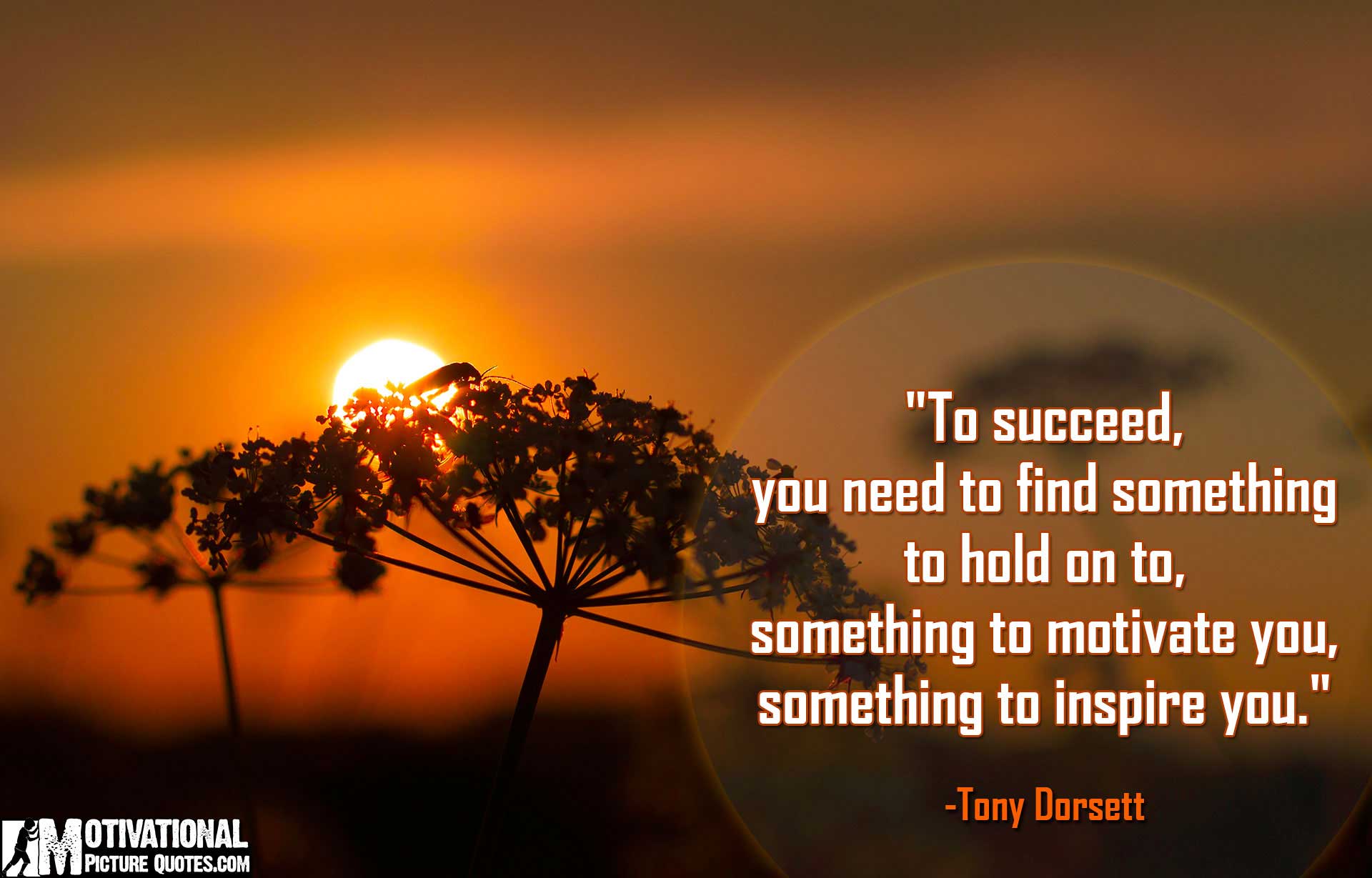 10+ Best Picture Quotes about Inspiration | Insbright