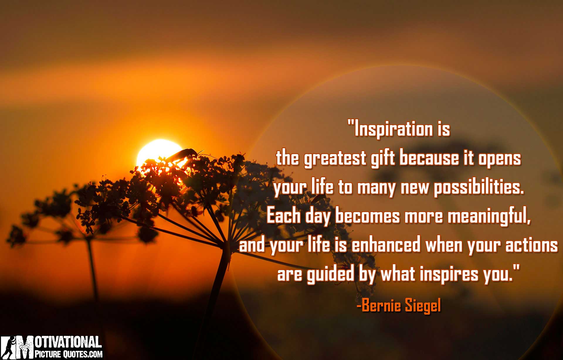 10+ Best Picture Quotes about Inspiration | Insbright