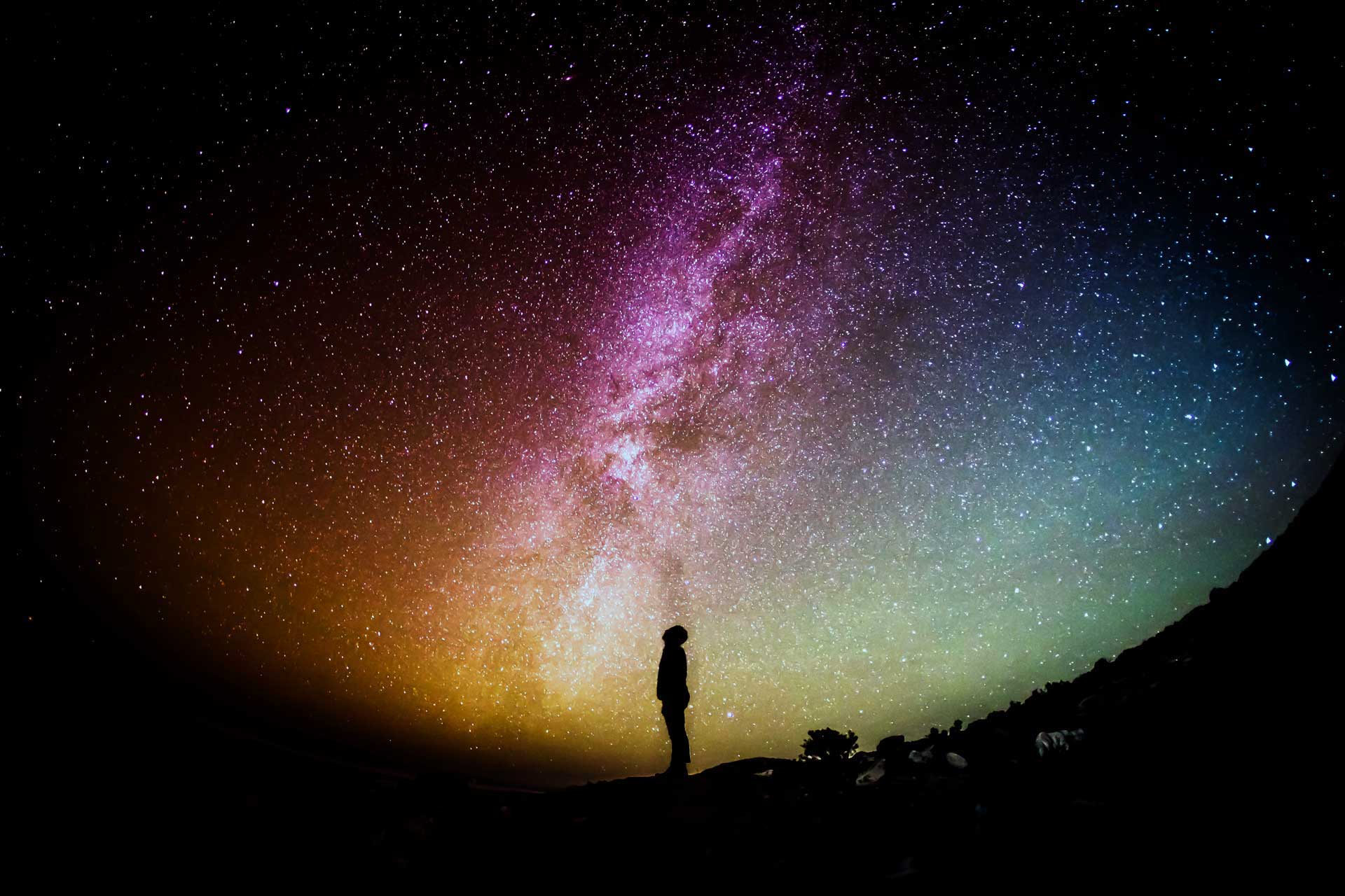 15+ Don't Lose Hope Quotes With Pictures | Insbright